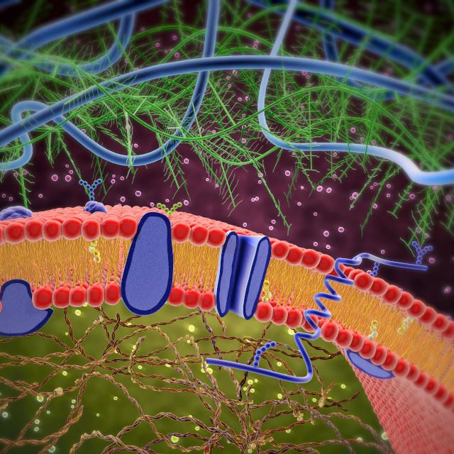 Multimode Readers in Protein-Protein Interaction (PPI) Research ...