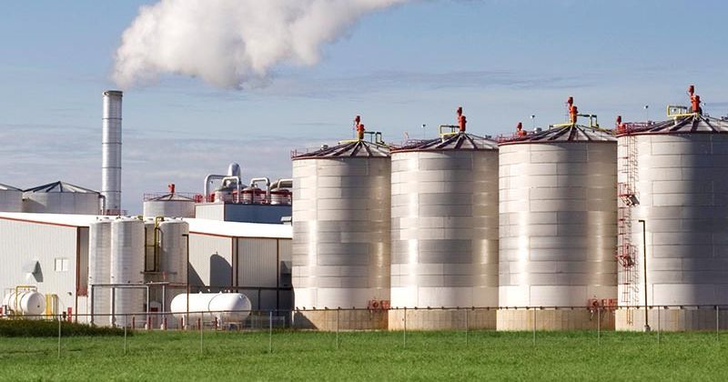Measuring the moisture and bulk flow in the ethanol industry - Berthold ...