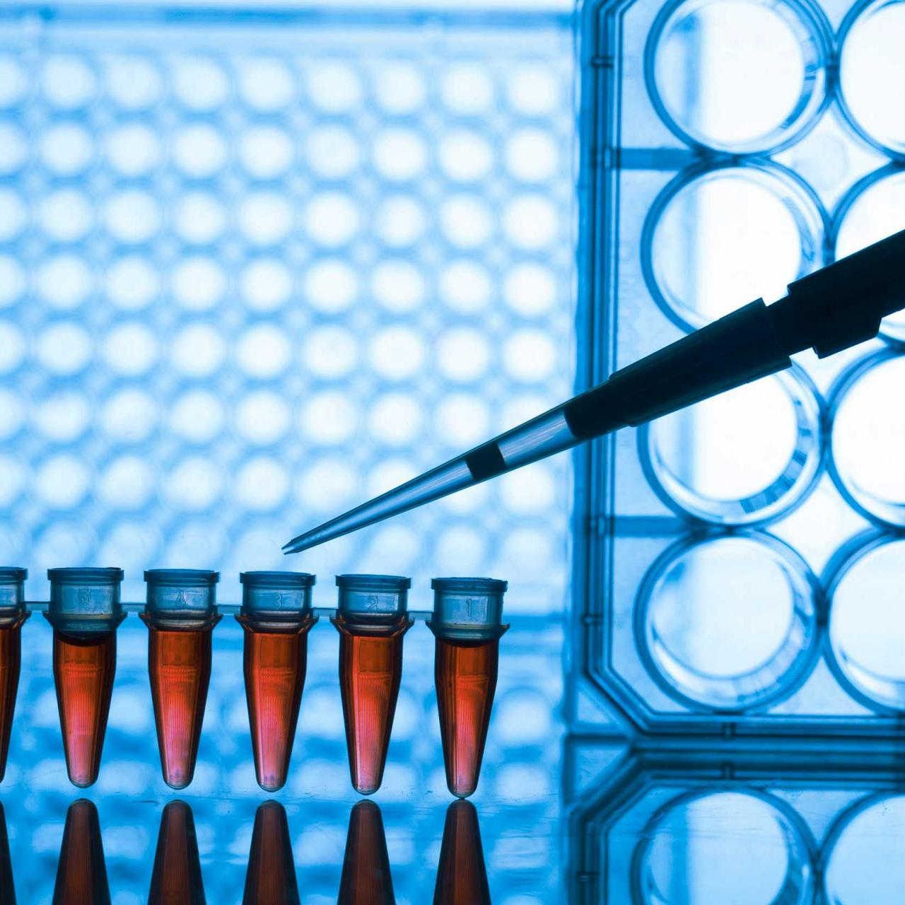 Apollo - Berthold Technologies GmbH & Co.KG