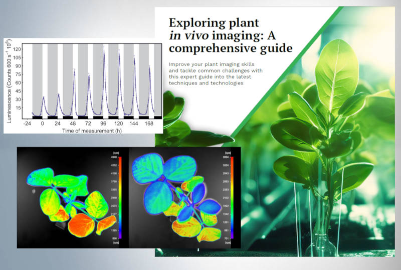NightSHADE evo In Vivo Plant Imaging System - Berthold Technologies ...