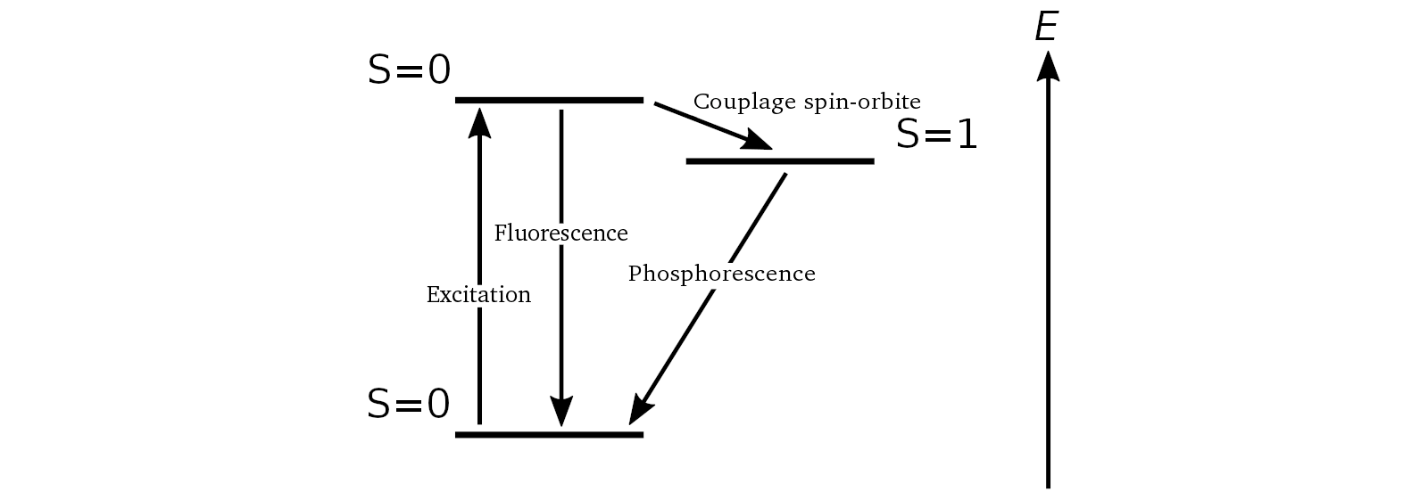 Luminescencia vs fluorescencia and fosforescencia - Berthold ...